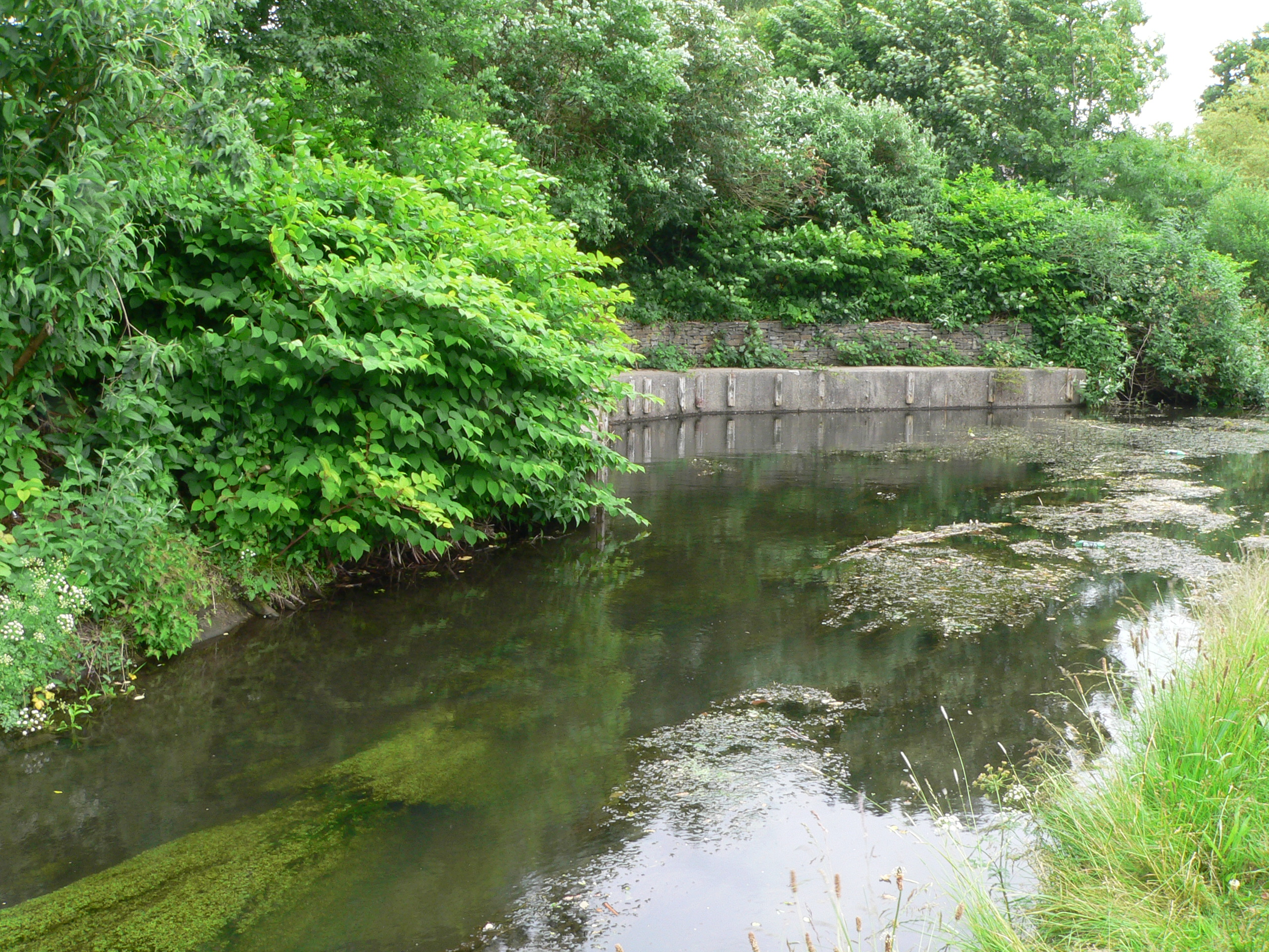 Before and after at the Winding Hole - Swansea Canal Society
