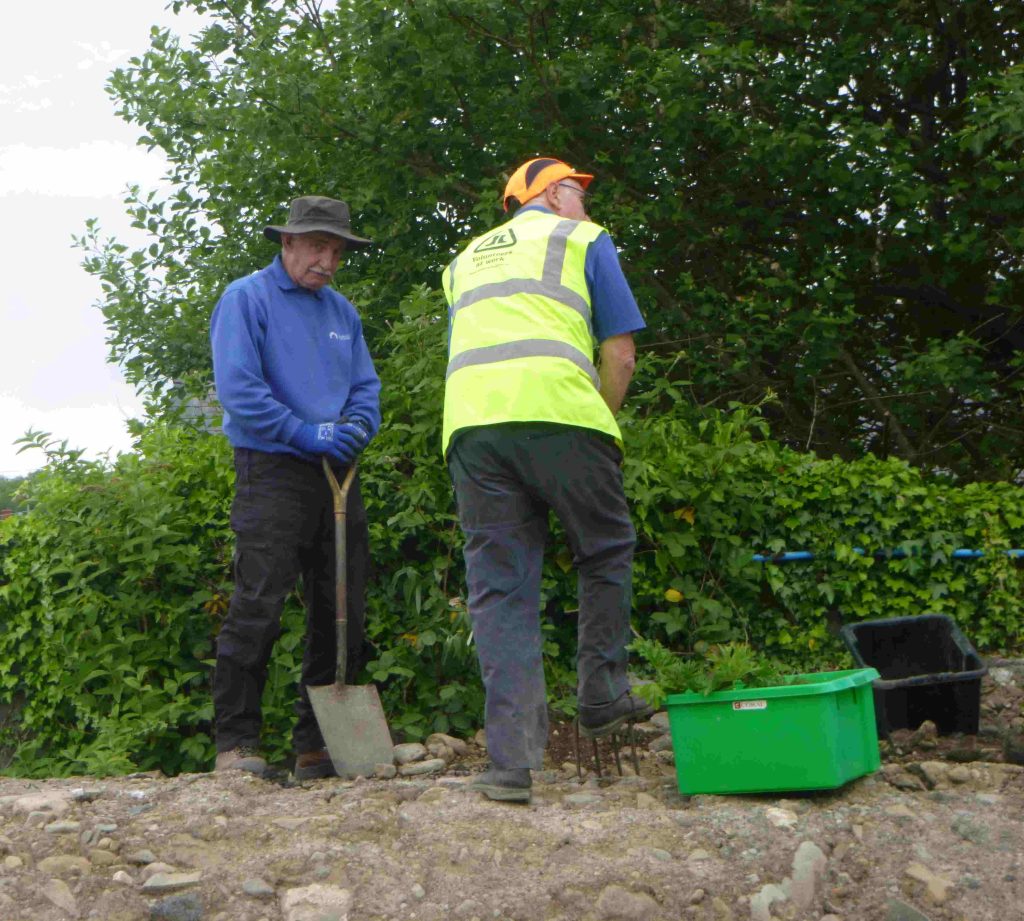 Work Party - Tuesday 23rd May 2023 - Swansea Canal Society