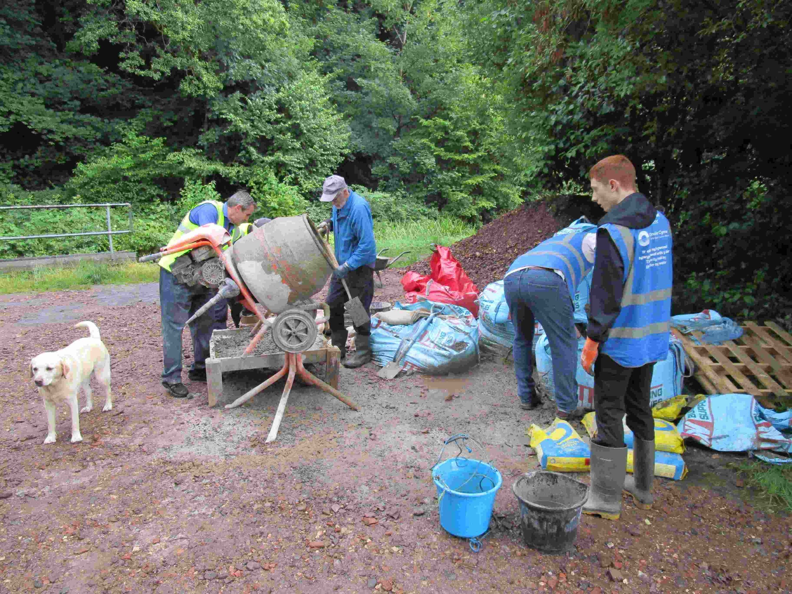 Work Party: Tuesday 16th July 2024 - Swansea Canal Society